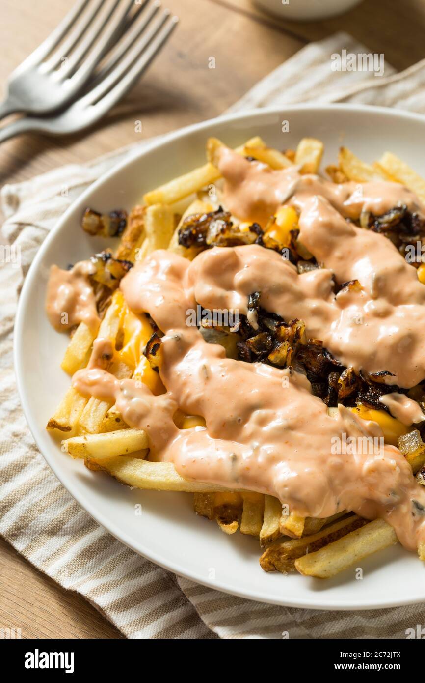 Homemade Fried Animal Cheese French Fries with Onions and Dressing ...