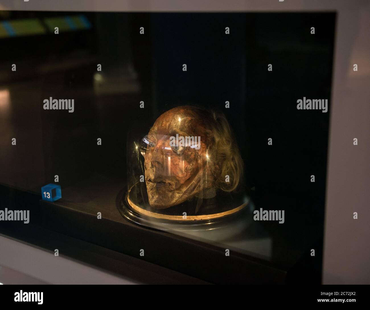 Jeremy Bentham - Mummified Head, on display at the University College ...