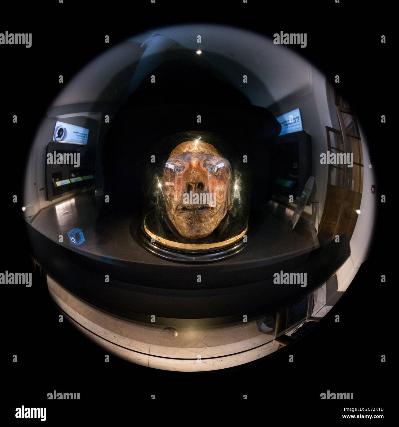 Jeremy Bentham - Mummified Head, on display at the University College ...