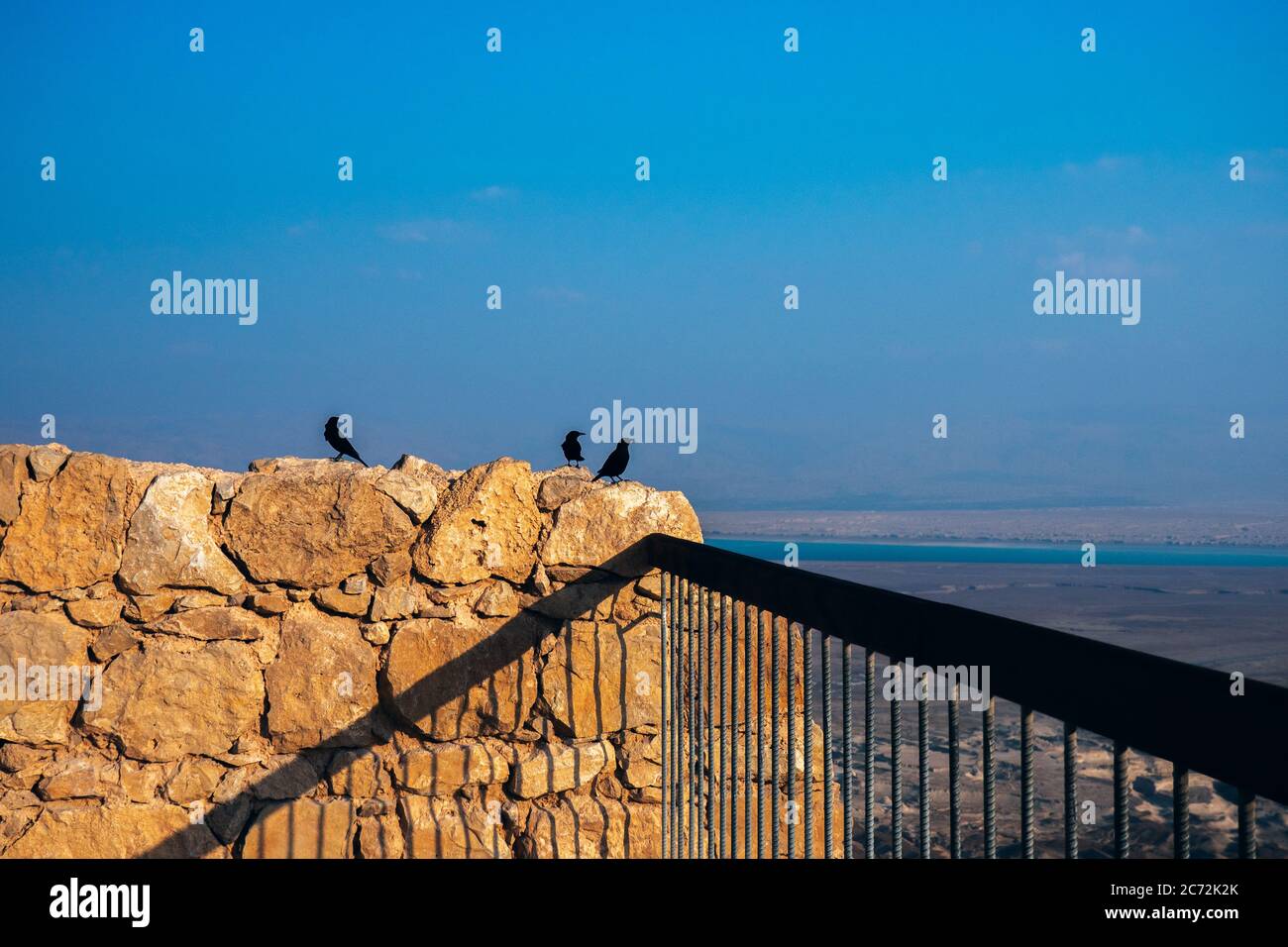 Birds rocks israel hi-res stock photography and images - Alamy