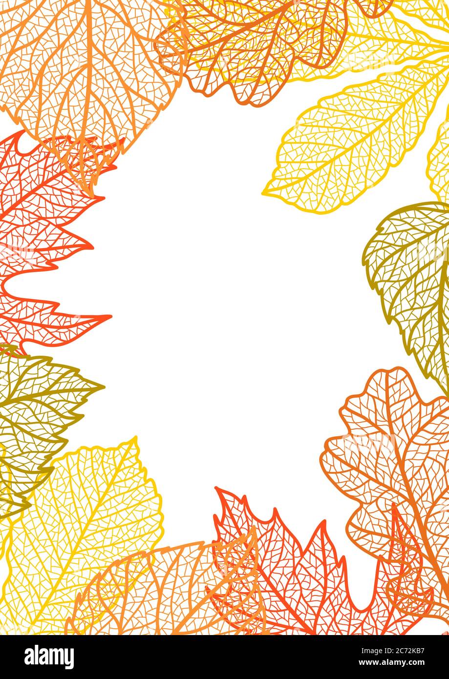 Leaf birch autumn line Stock Vector Images - Alamy