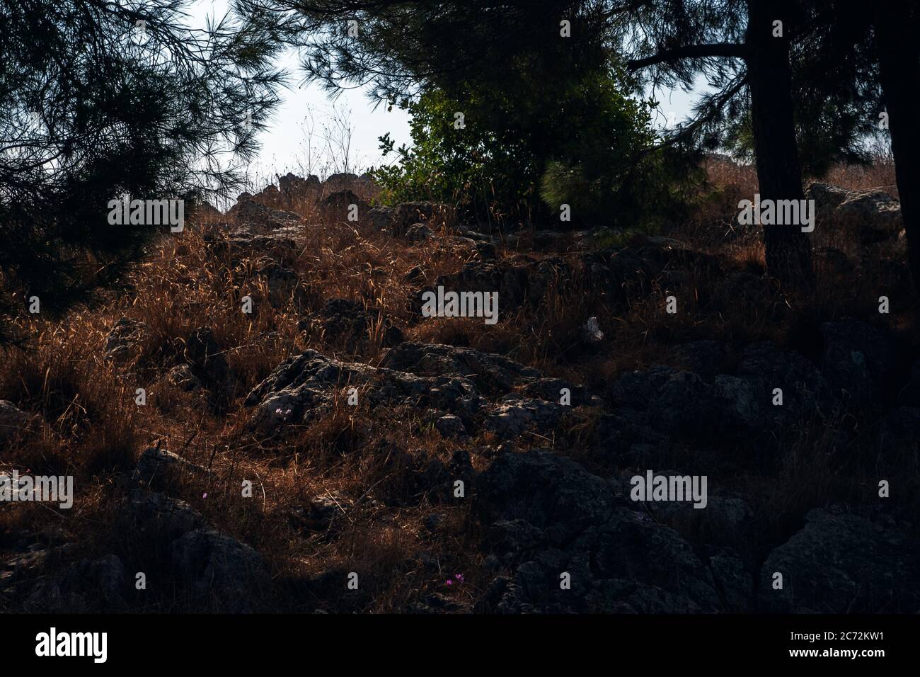 Old nazareth city hi-res stock photography and images - Alamy