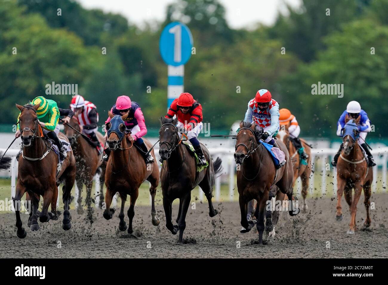 Pat cosgrave green hi-res stock photography and images - Alamy