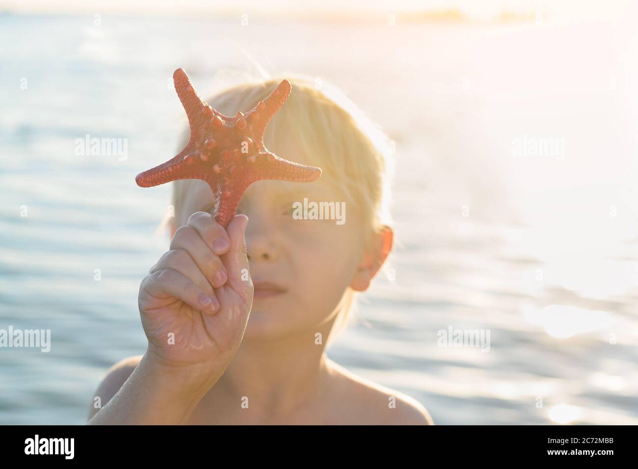 Boy holding starfish hi-res stock photography and images - Alamy