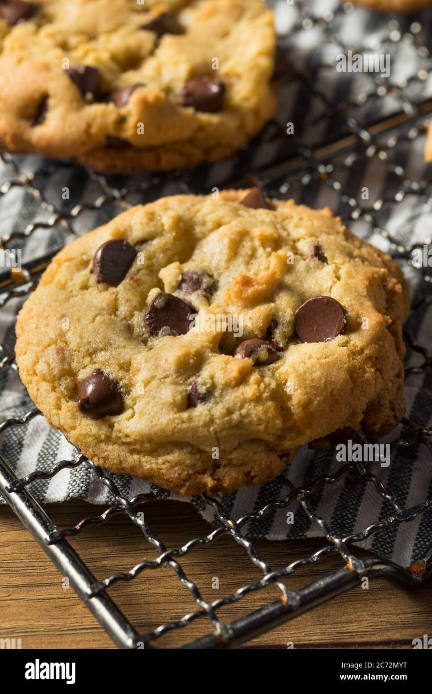 Homemade Warm Chocolate Chip Cookies Ready to Eat Stock Photo - Alamy