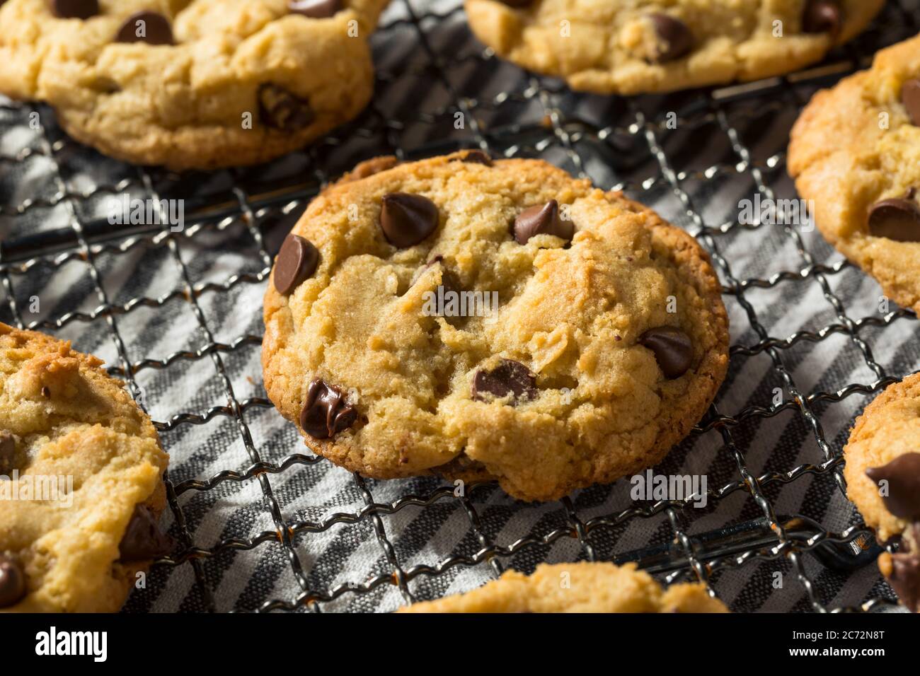 Homemade Warm Chocolate Chip Cookies Ready to Eat Stock Photo - Alamy