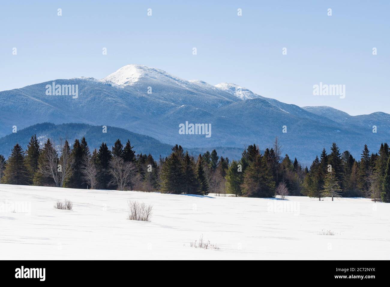 Treeline hi-res stock photography and images - Alamy