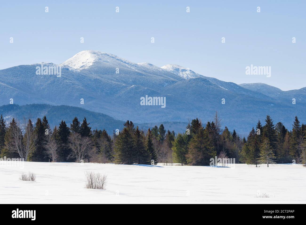 Snow covered, Treeline, Algonquin Peak,MacIntyre Range, Adirondack ...