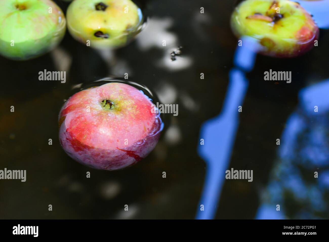 Floating sweet grass hi-res stock photography and images - Alamy