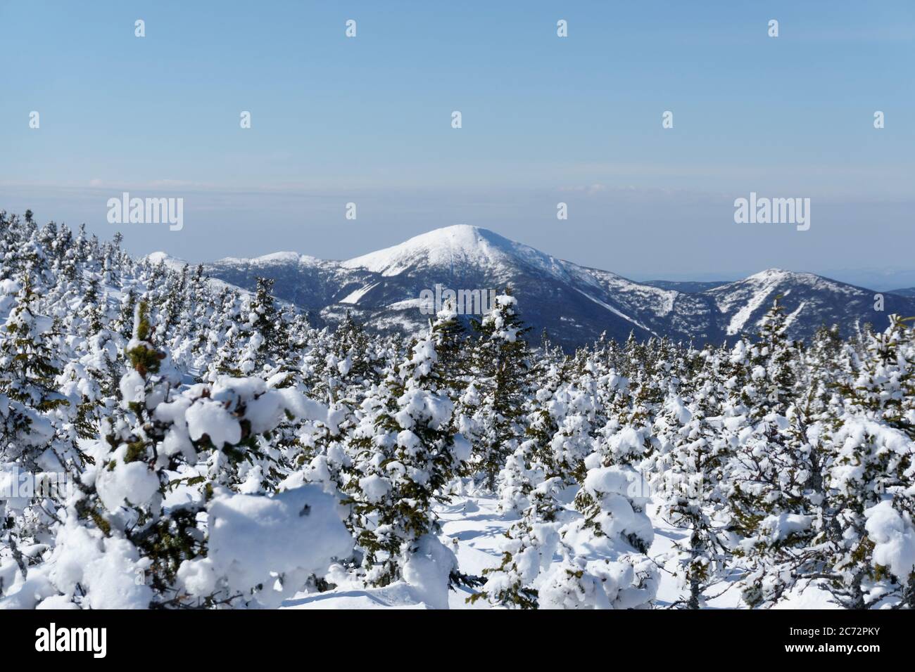 Algonquin Peak from Mount Marcy Summit, Van Hoevenberg Trail ...