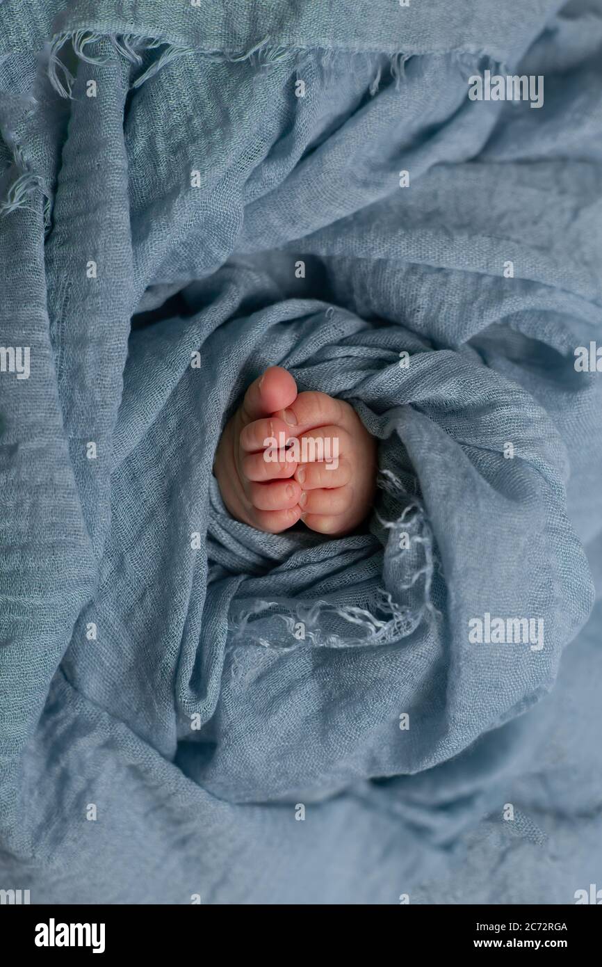 feet of a newborn baby. legs on a blue background. baby feet Stock ...