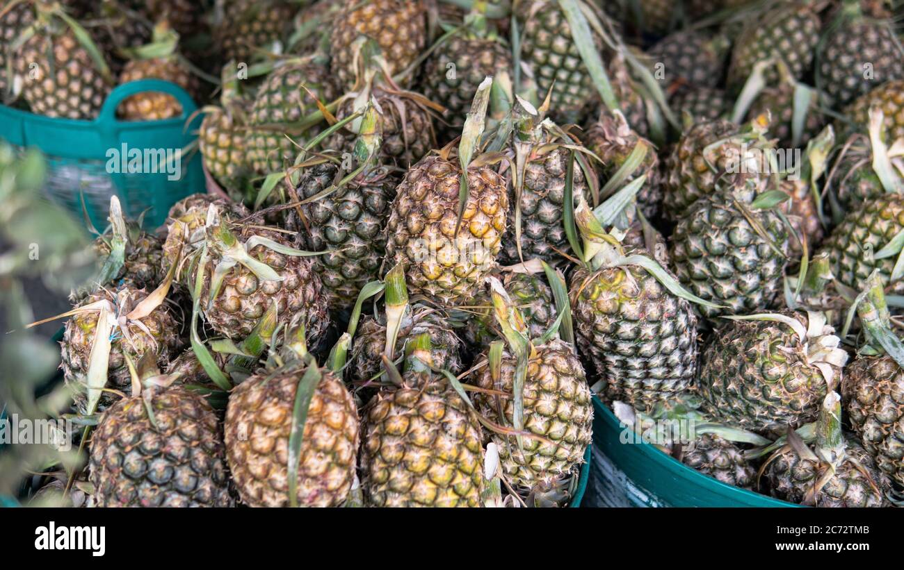 selling pineapple fruits in tropical markets in Asia. World imports of ...