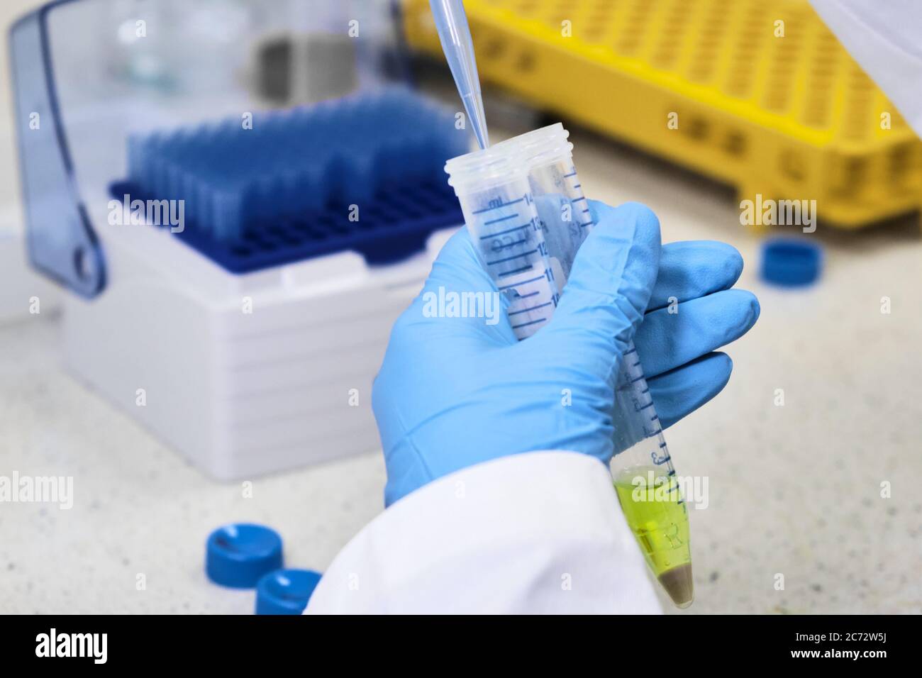 Scientist spikes samples using an automatic pipette. Sample preparation ...