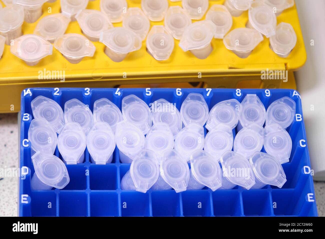 Small plastic test tubes in a rack. Microbiology of chemical analysis ...