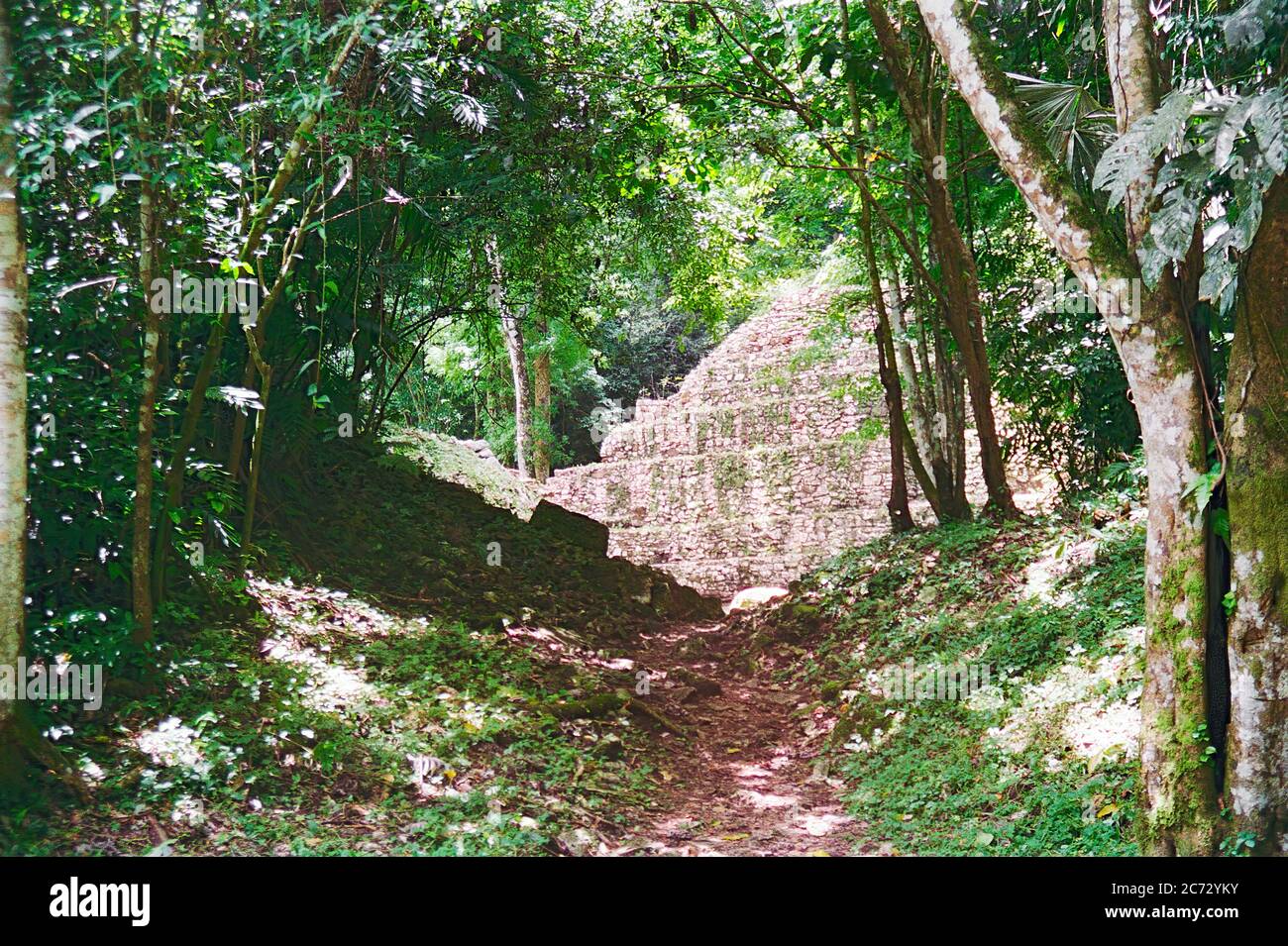 Following a narrow path through the trees a pyramid can be seen in the ...