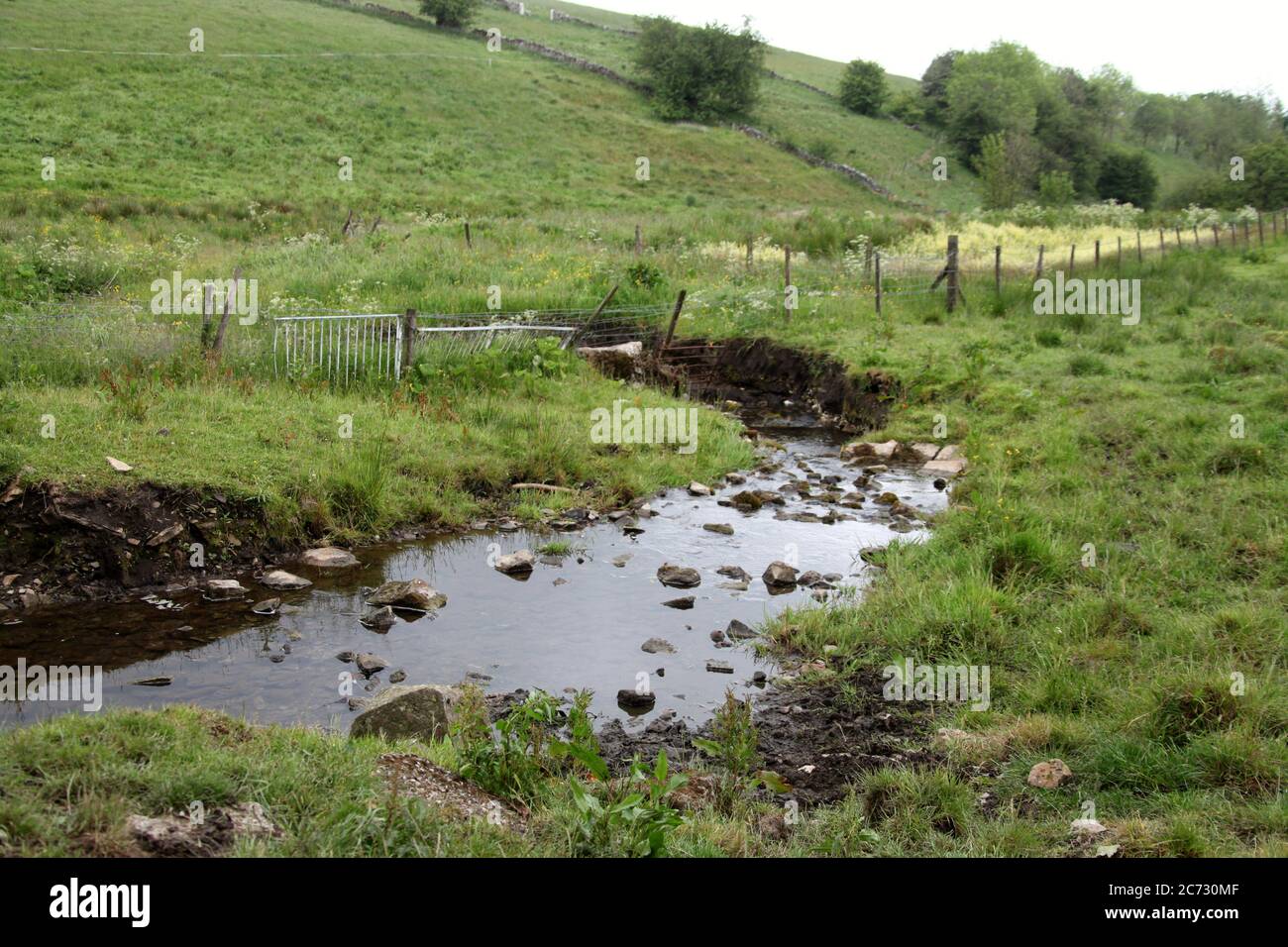 Start of the River Hamps at Merryton Low Stock Photo - Alamy