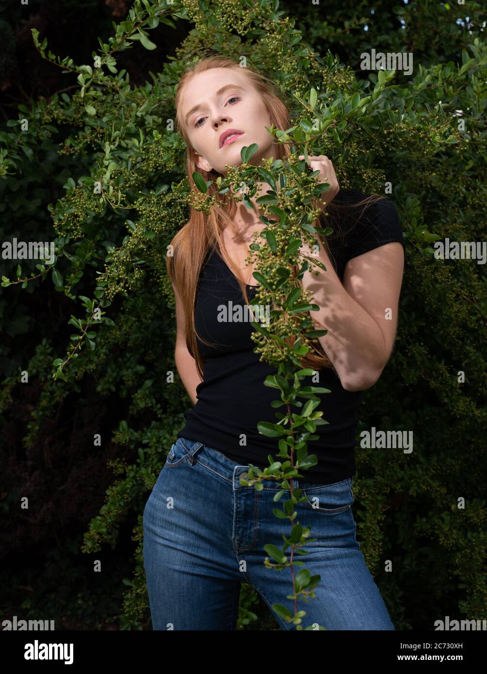 Bruce castle park london hi-res stock photography and images - Alamy