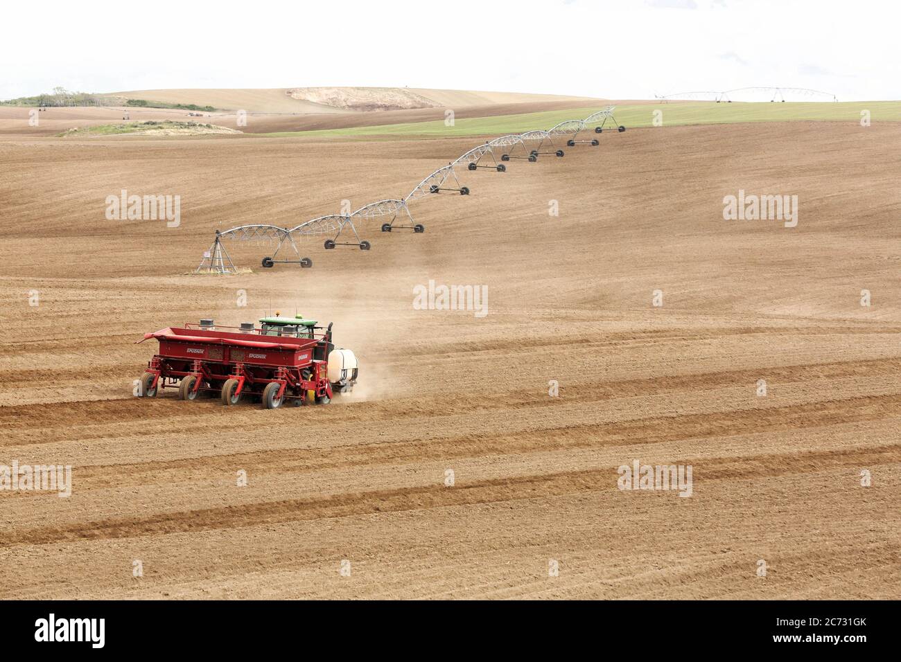 A farmer and tractor in the field planting potatoes in the fertile farm ...