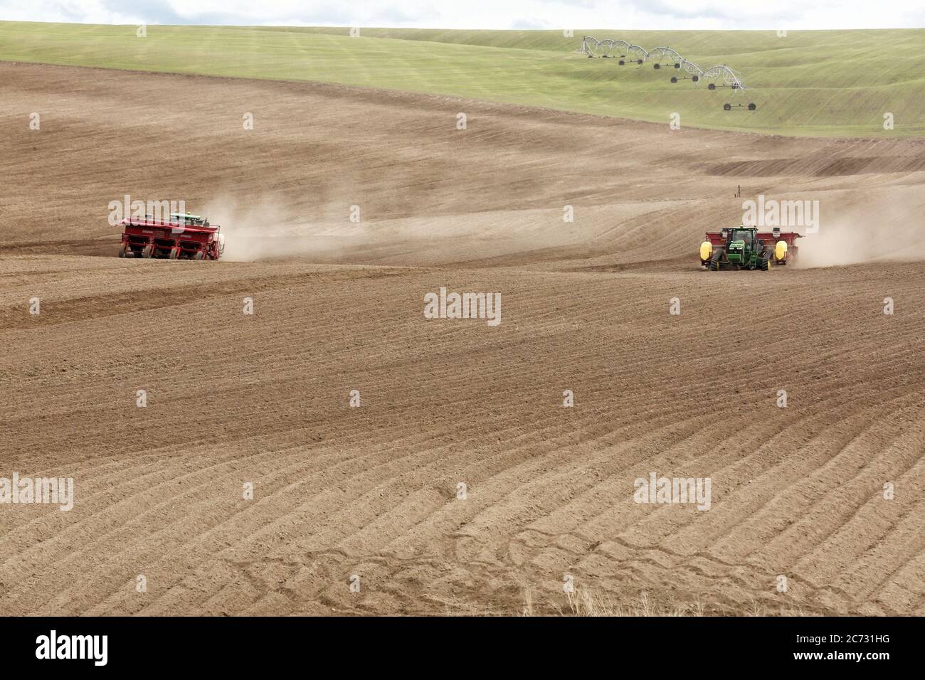 A farmer and tractor in the field planting potatoes in the fertile farm ...