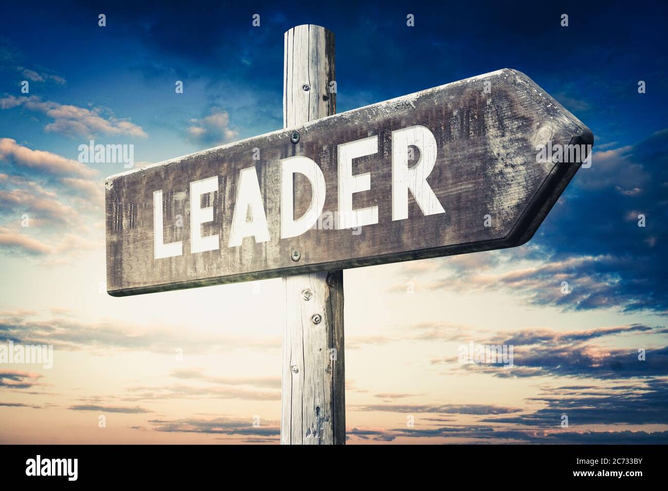 Leader - wooden signpost, roadsign with one arrow Stock Photo - Alamy