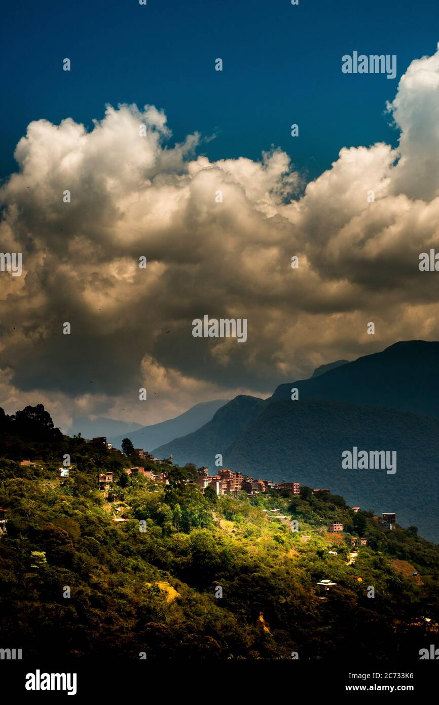Yungas bolivianas hi-res stock photography and images - Alamy