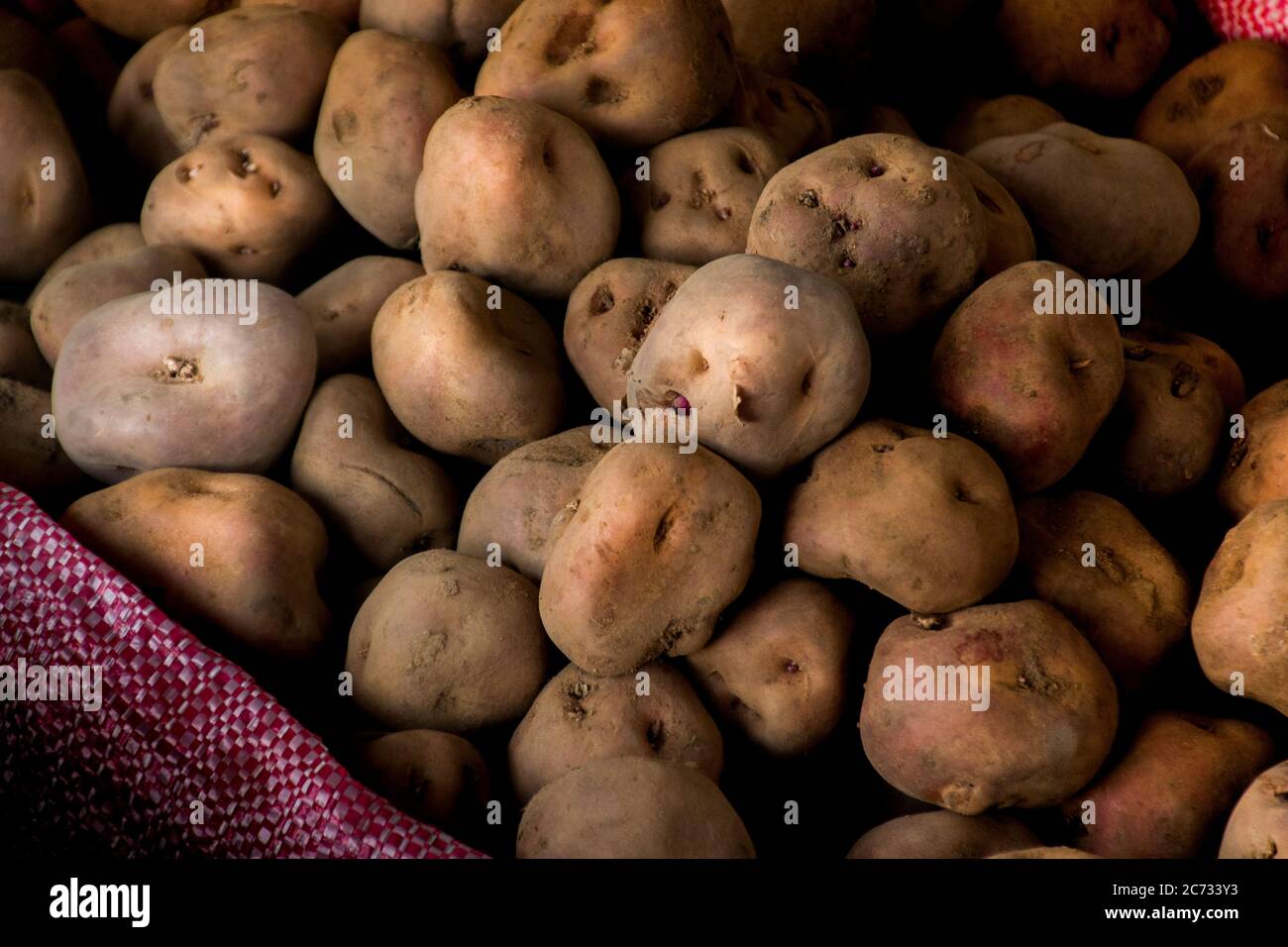 Tipos de papas en el mundo hi-res stock photography and images - Alamy