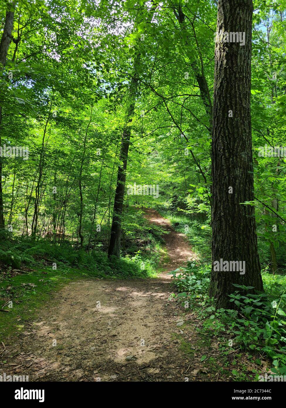 mirror lake, wisconsin Stock Photo - Alamy