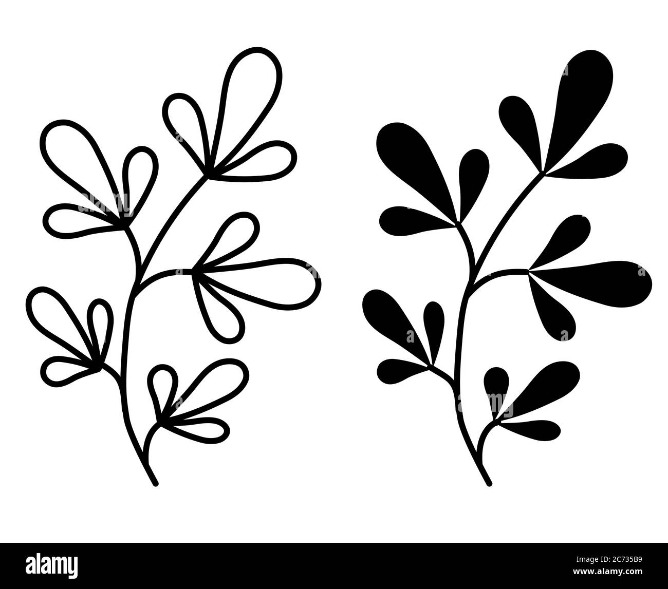 Botany. Vector drawing branches with leaves. Black outline and ...