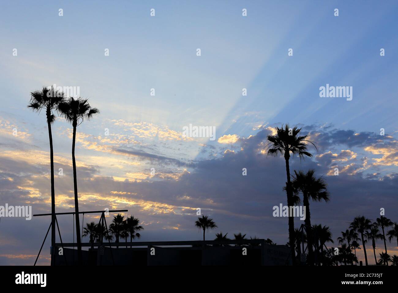 A dramatic sunset over palm trees in California Stock Photo - Alamy
