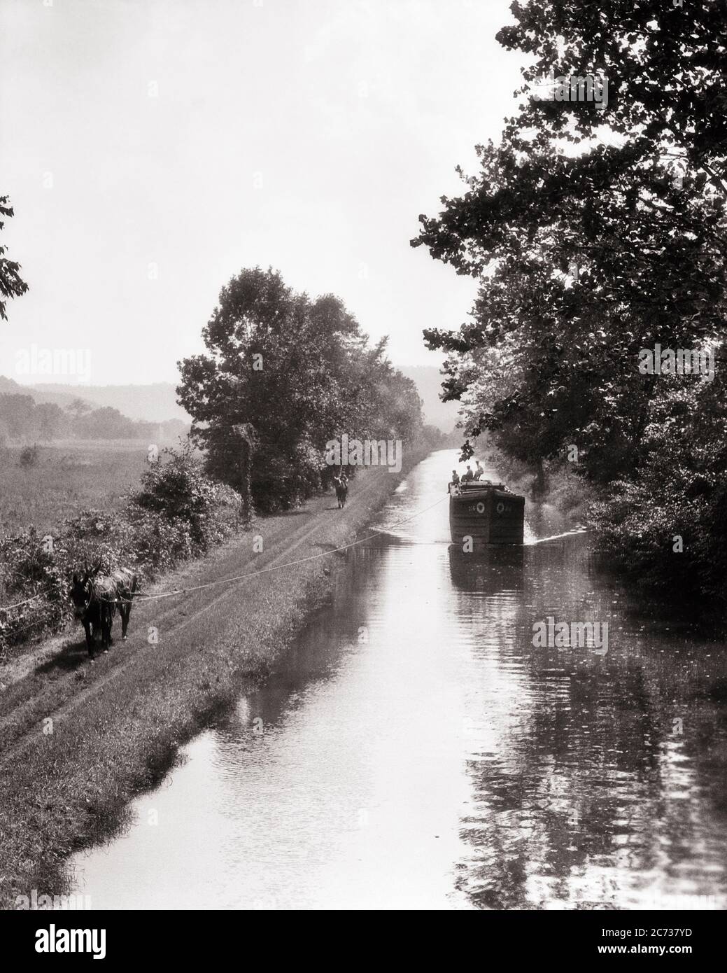 1930s SINGLE MULE ON TOWPATH PULLING BARGE ON DELAWARE CANAL NEW HOPE ...