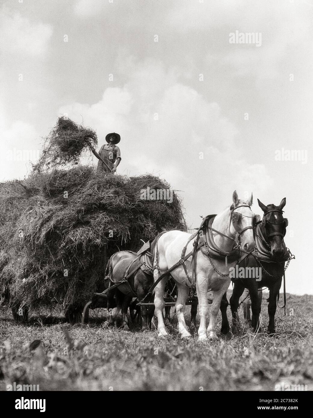 Farmer 1920s hi-res stock photography and images - Alamy