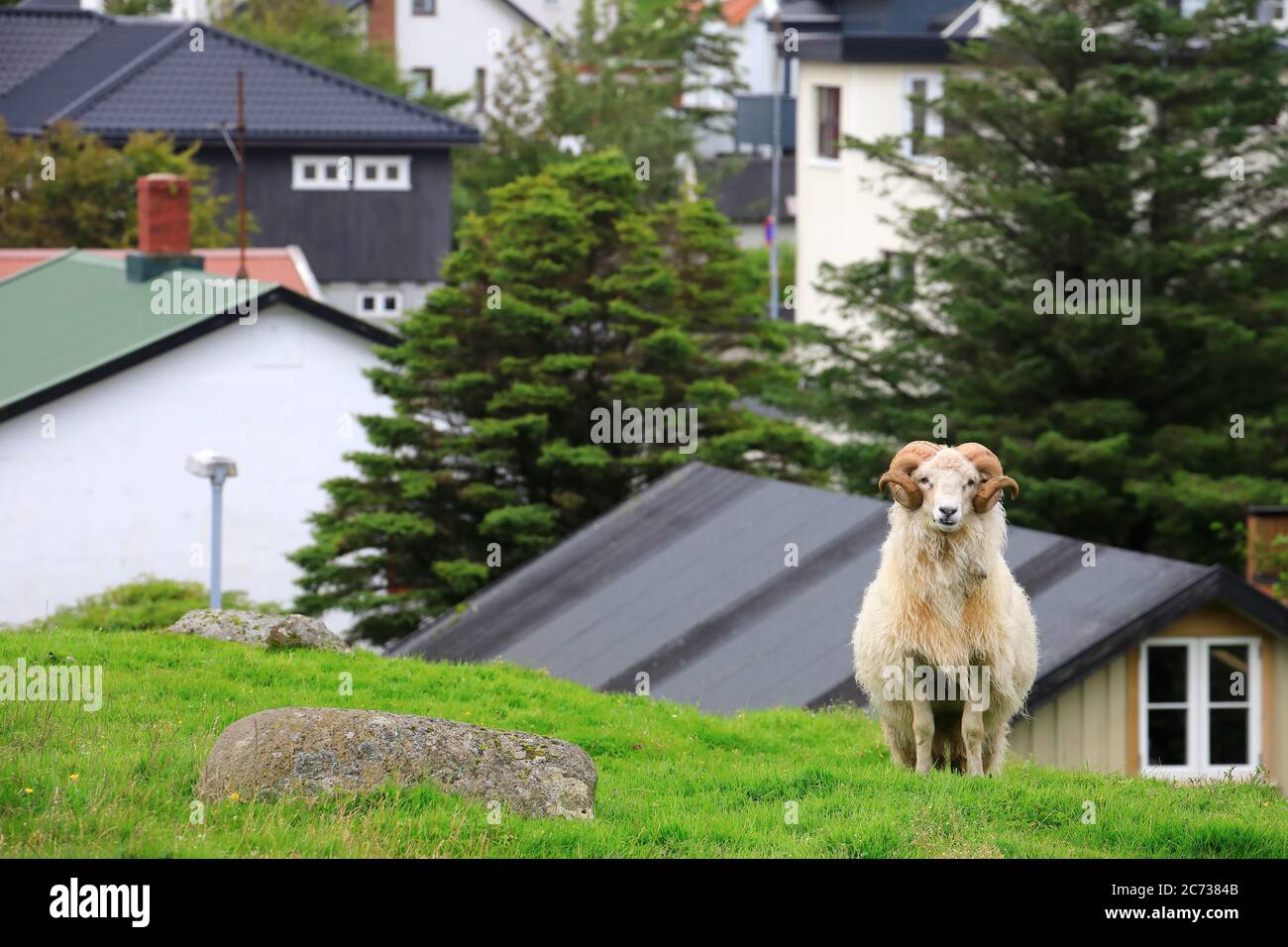 White background faroe islands hi-res stock photography and images - Alamy