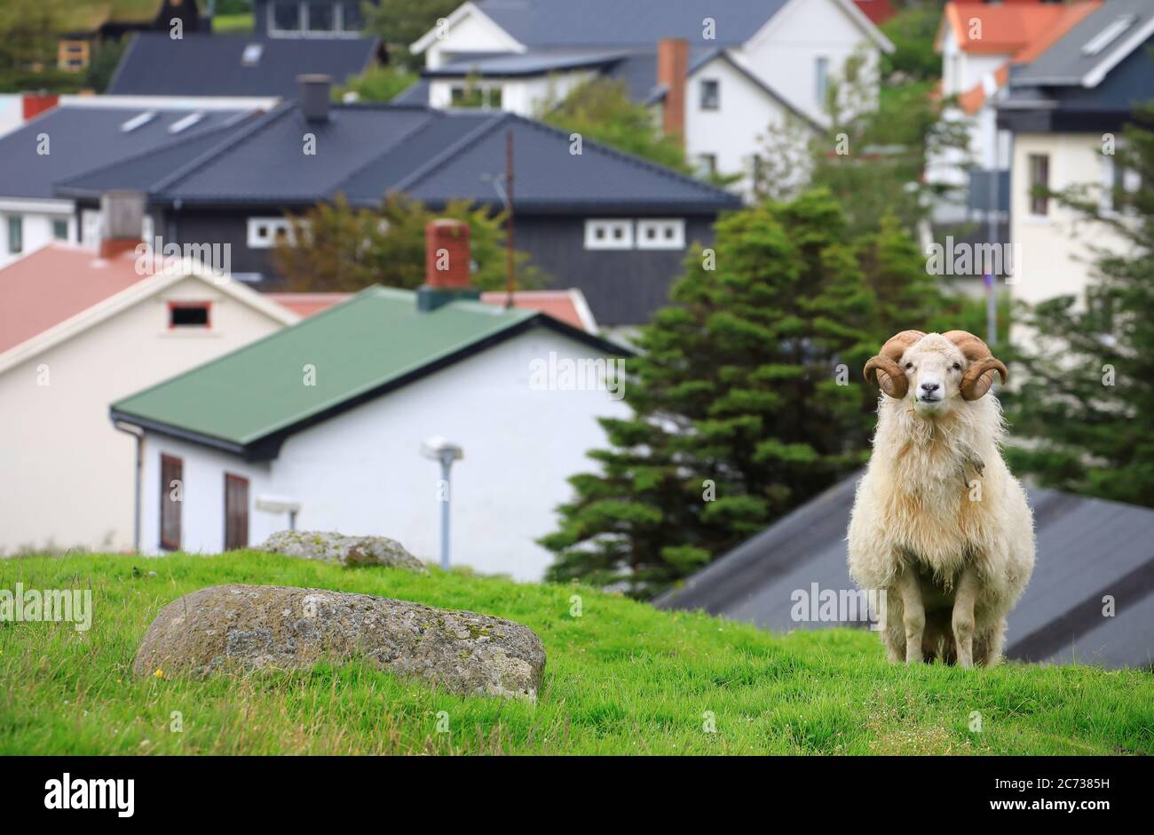 White background faroe islands hi-res stock photography and images - Alamy