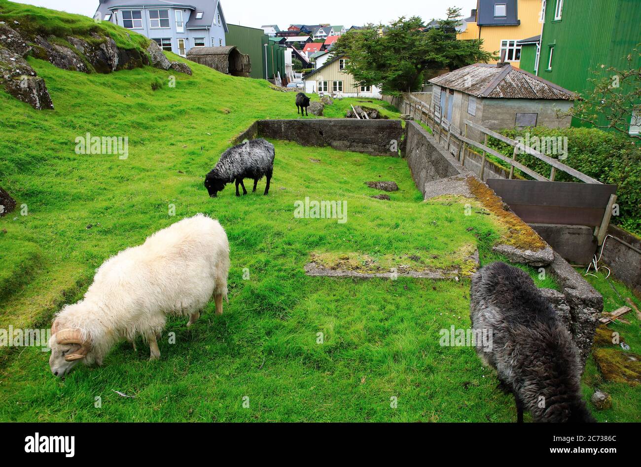 Faroese tourism hi-res stock photography and images - Alamy