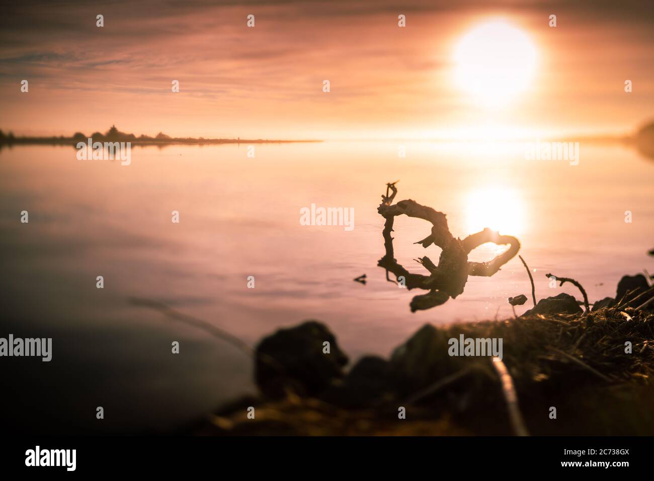 Dreamy photo of sun setting on river with logs in foreground Stock ...