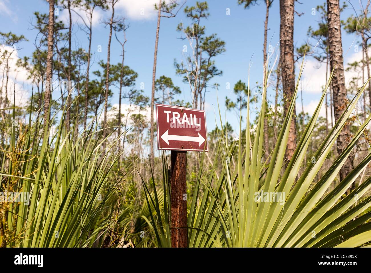 Everglades board walk hi-res stock photography and images - Alamy