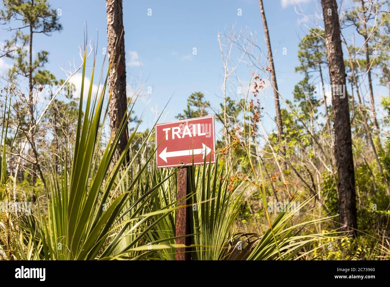 Everglades board walk hi-res stock photography and images - Alamy