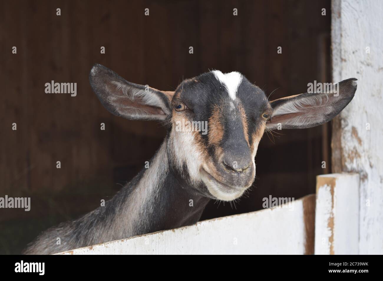 Niche farm hi-res stock photography and images - Alamy