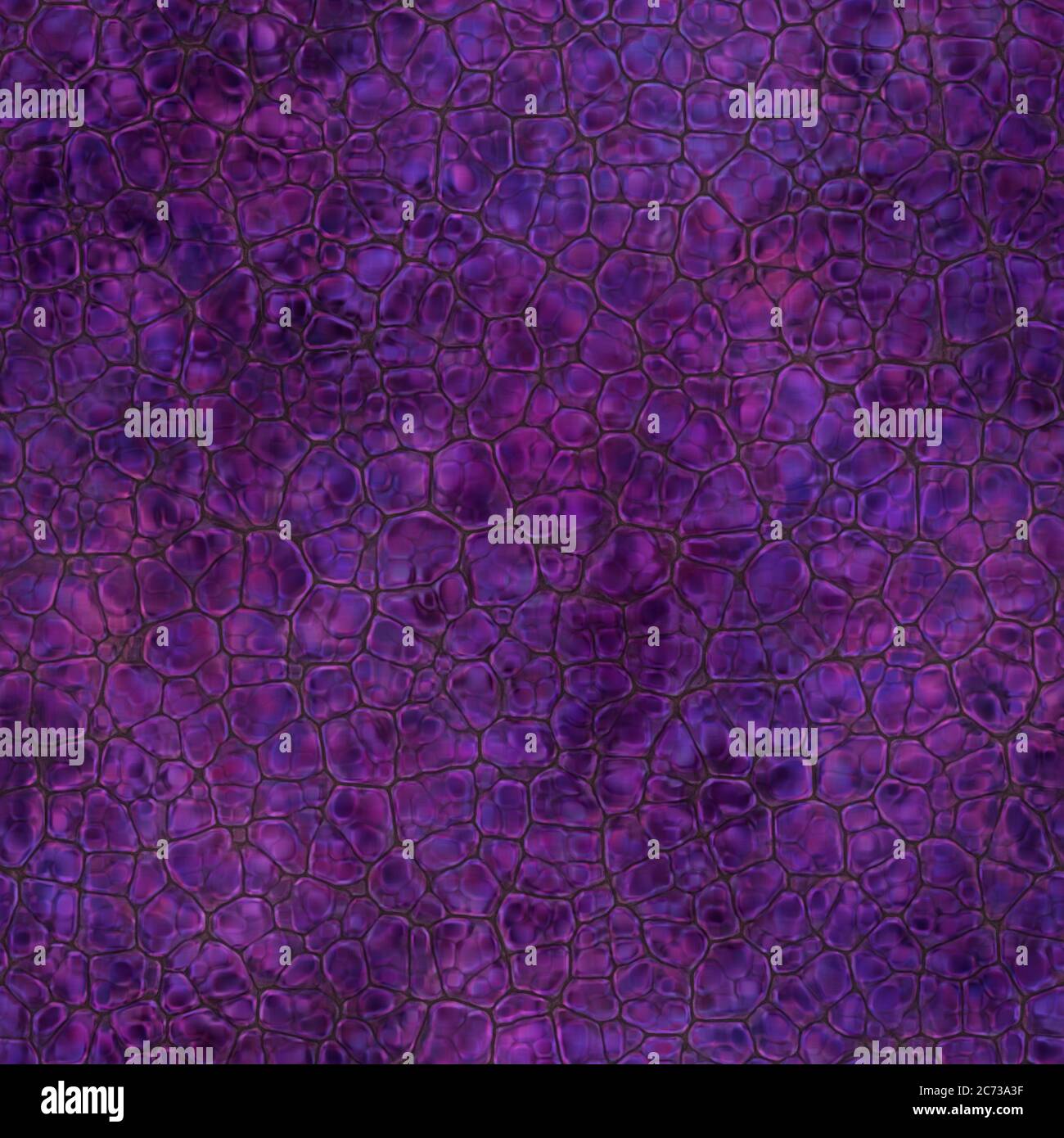 Cartoon seamless texture of color fantasy cobble stone ground pavement ...