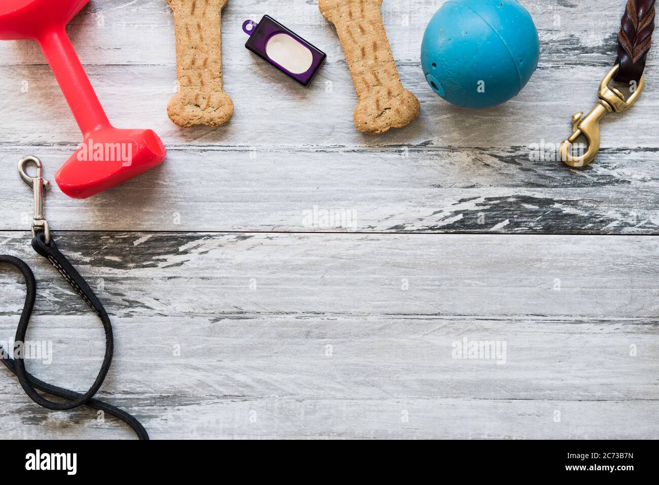 Dog training accessories with items like Dumbbell, leash, clicker, ball ...