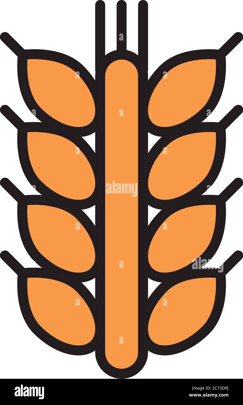 wheat spike fill style icon vector illustration design Stock Vector ...