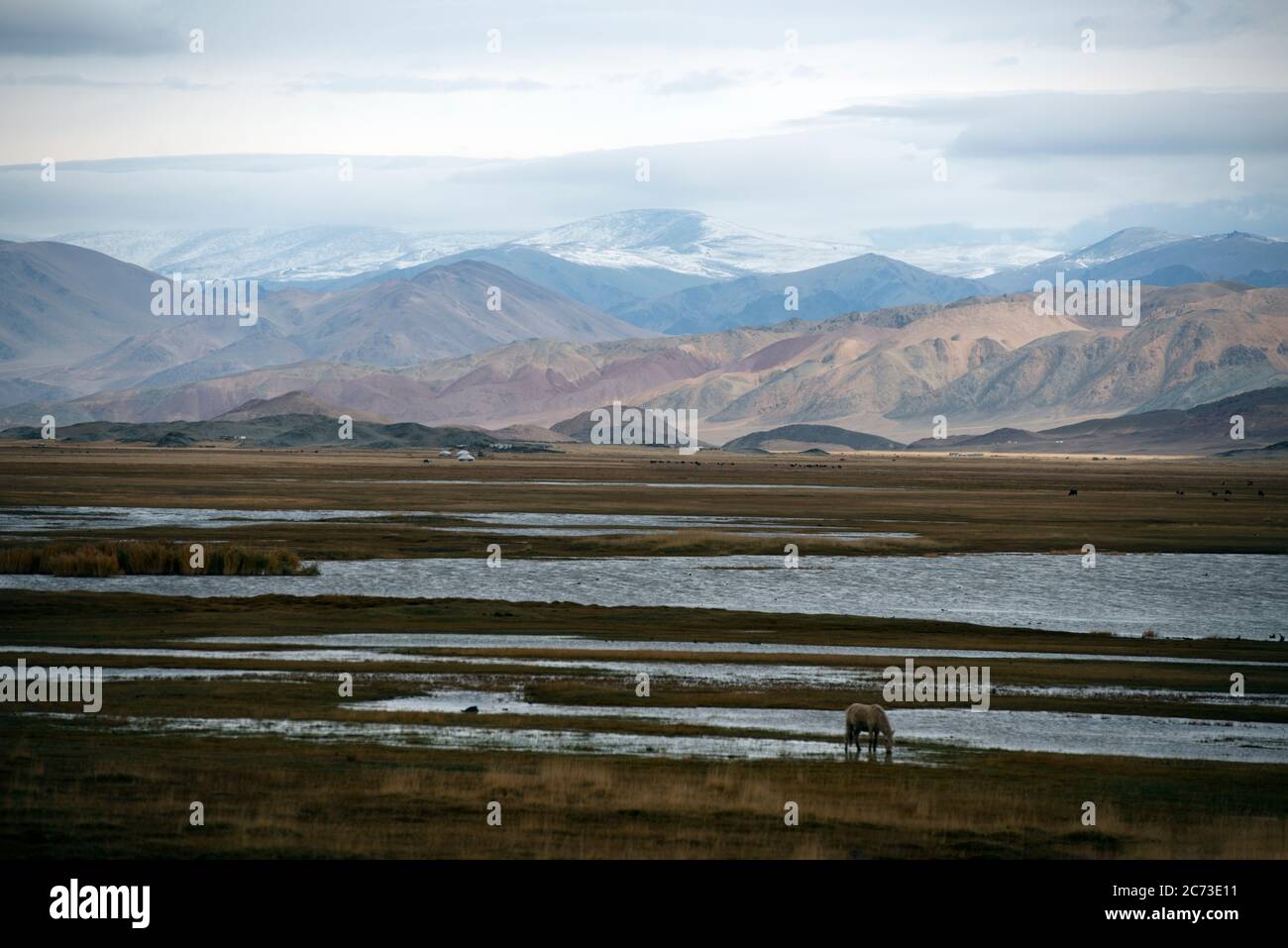 The vast wilderness of the Altai Mountains in western Mongolia is home ...