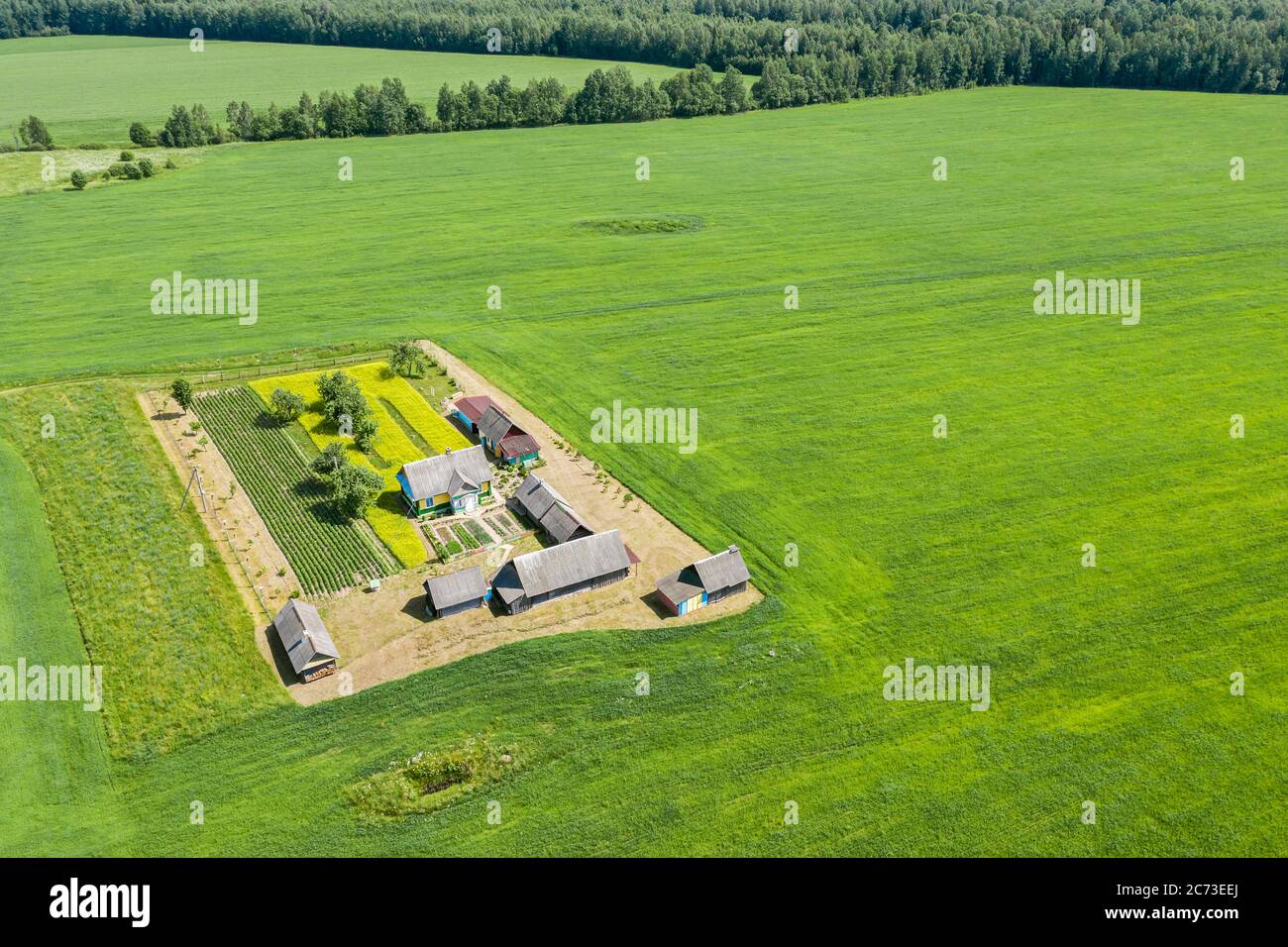 countryside landscape with farm, green agricultural fields and forest ...