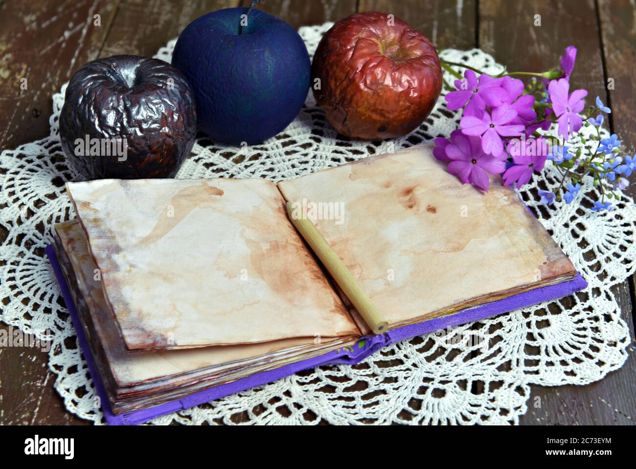 Poisonous magical apples and diary with empty pages on evil witch table ...