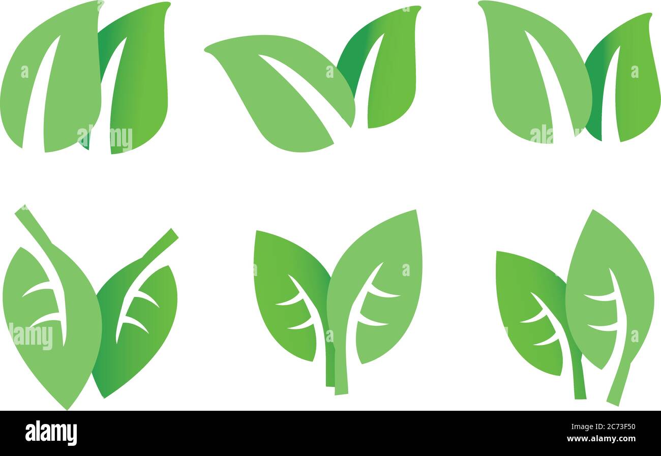 Set of six designs of double green leaves vector icons isolated on ...