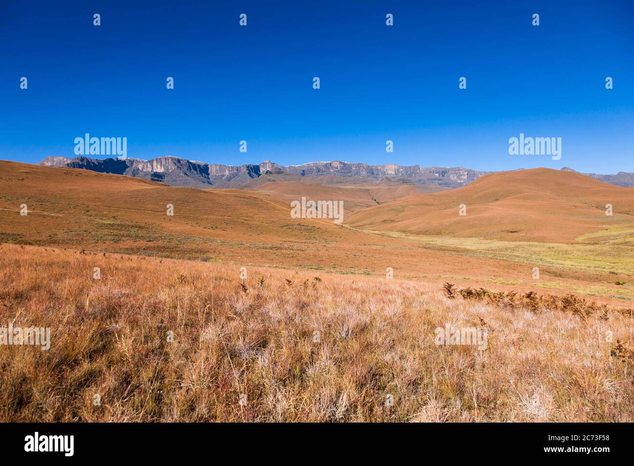 Drakensberg, Didima gorge and mountains, Cathedral Peak, Giants Castle ...