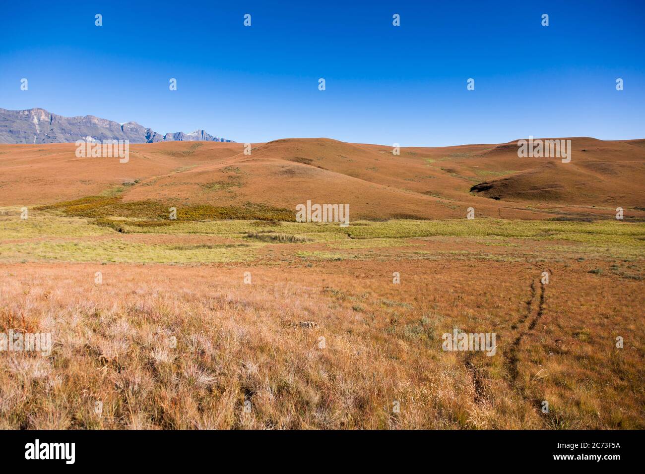 Drakensberg, Didima gorge and mountains, Cathedral Peak, Giants Castle ...