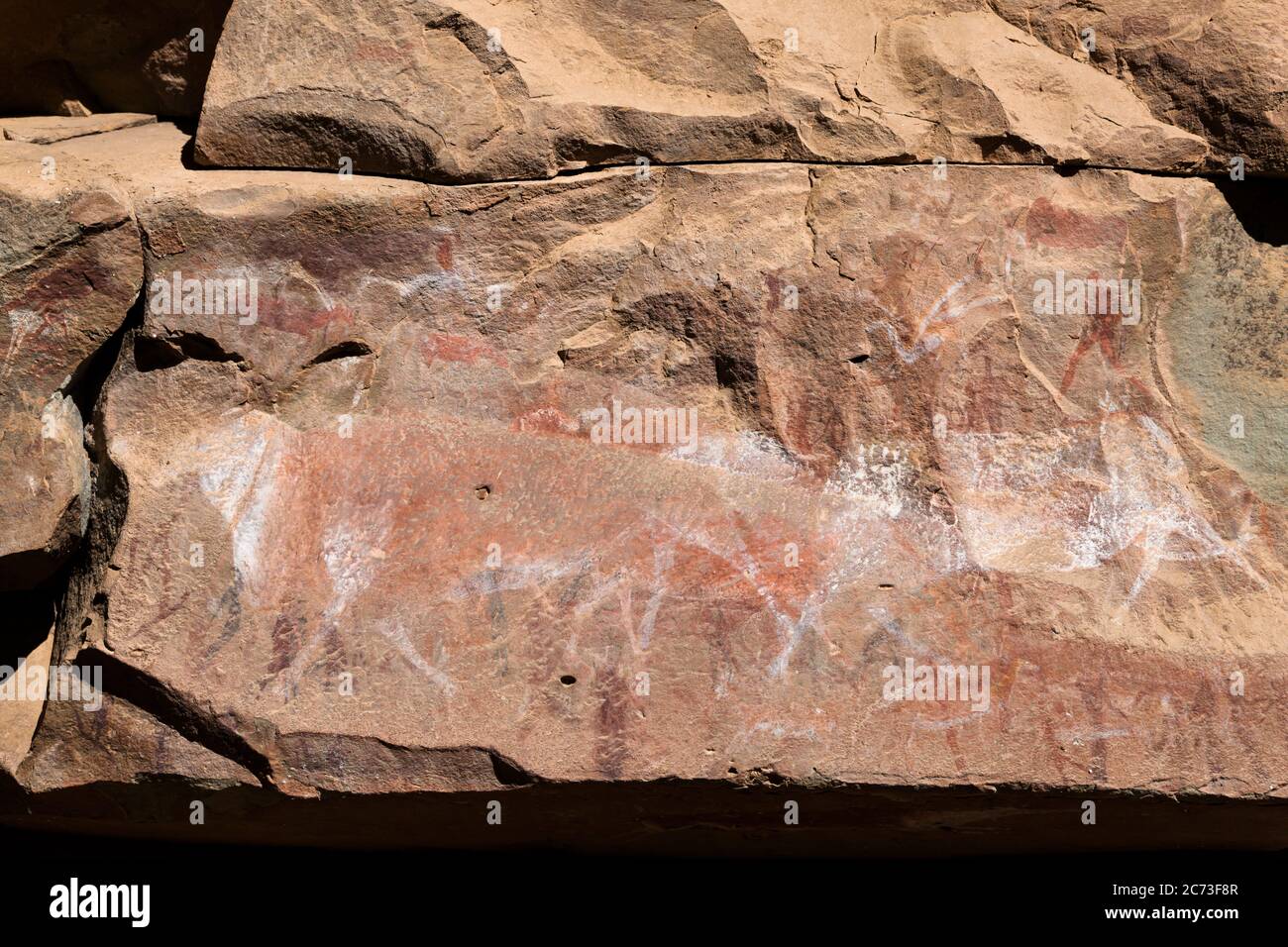 Drakensberg, "Eland cave" rock painting site, rock art, Didima gorge ...