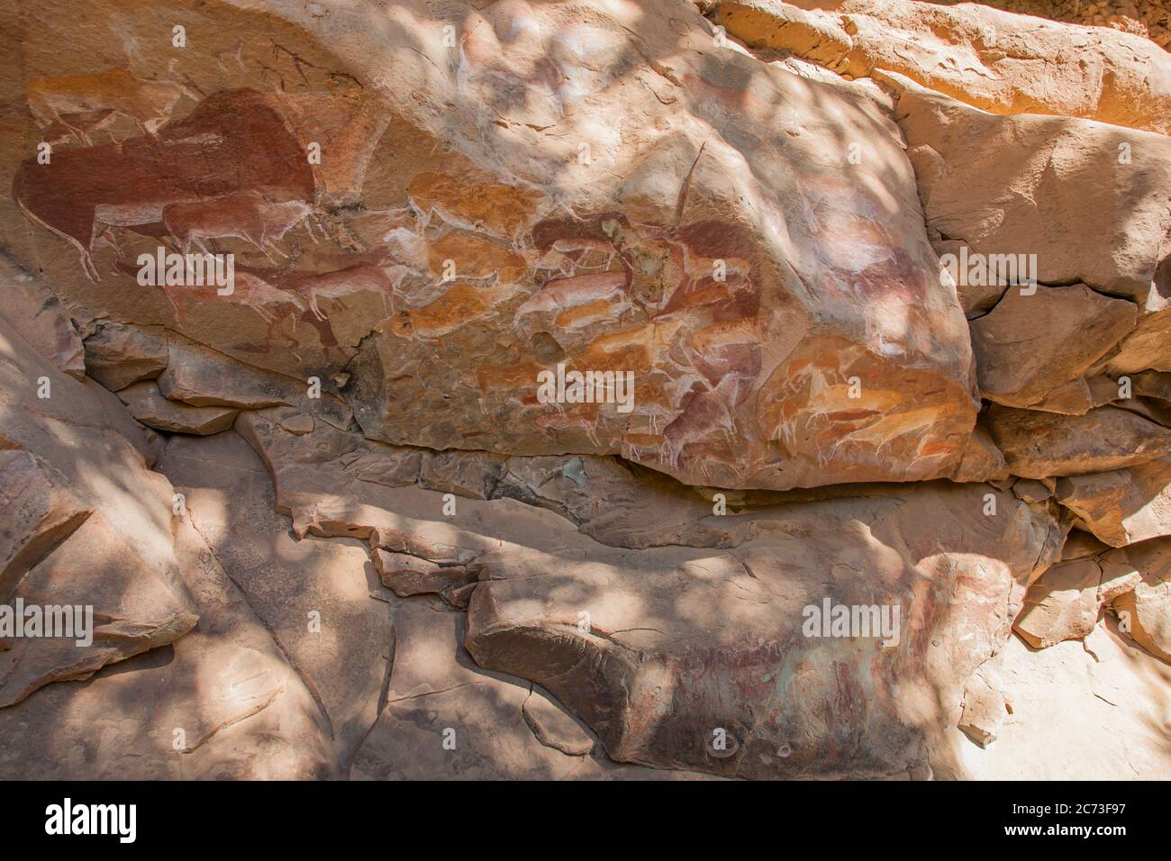 Drakensberg, "Eland cave" rock painting site, rock art, Didima gorge ...