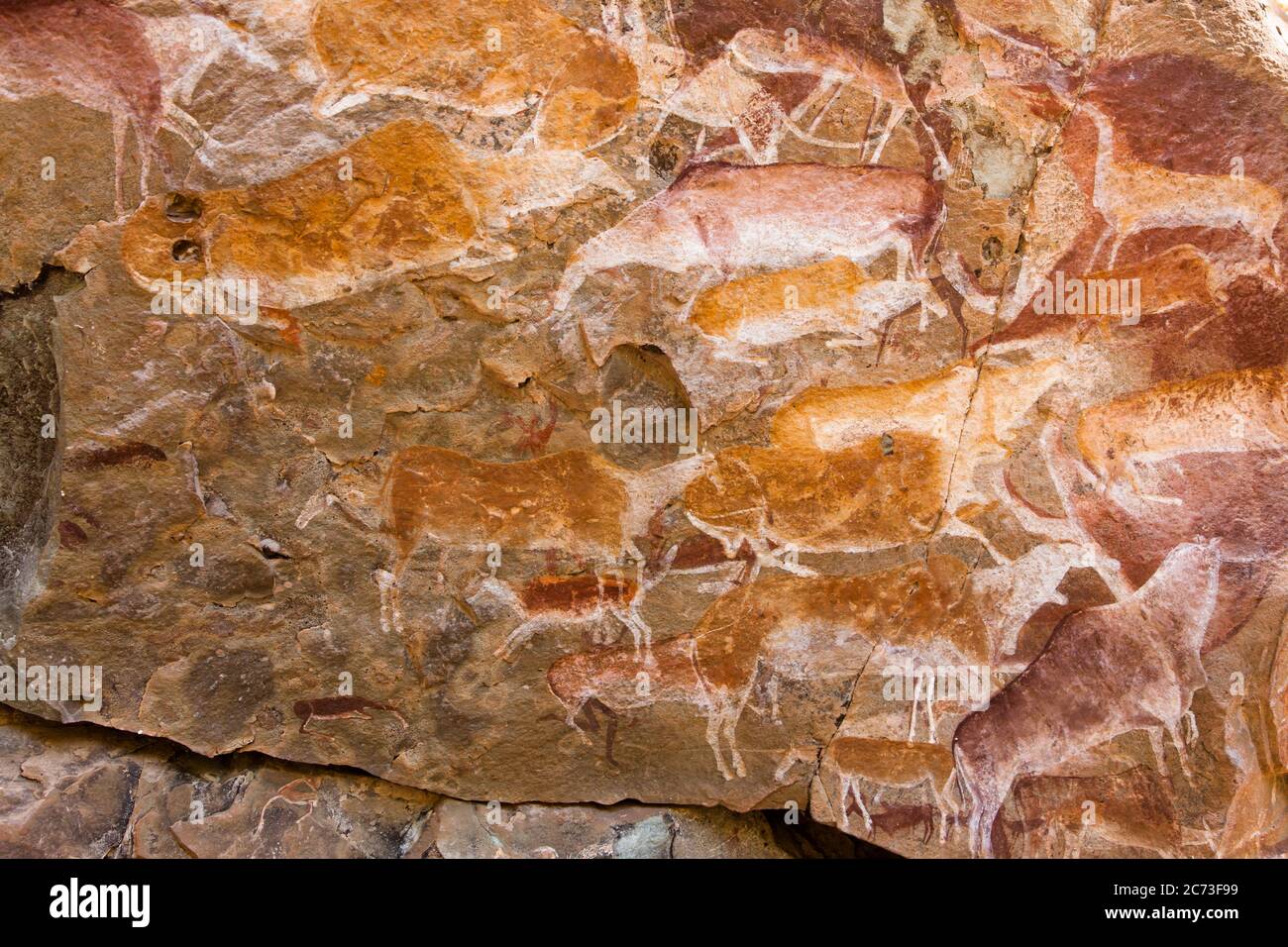 Drakensberg, "Eland cave" rock painting site, rock art, Didima gorge ...